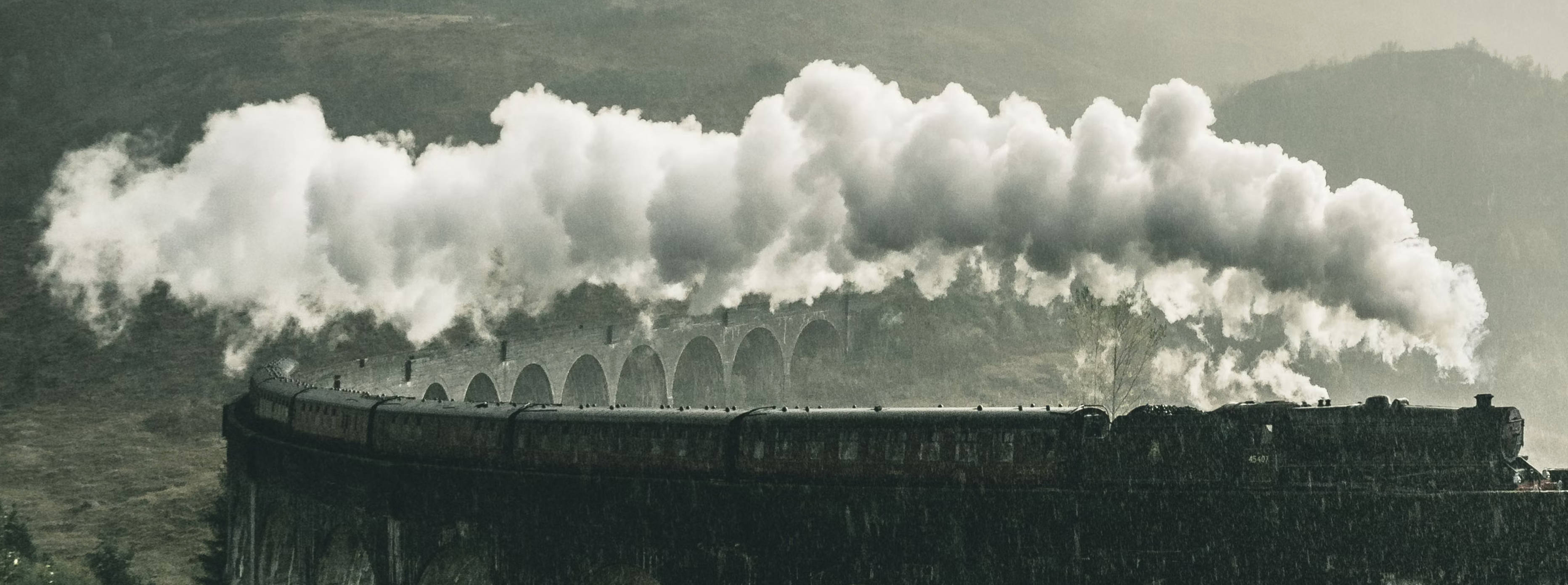 Tiki, the puffologist